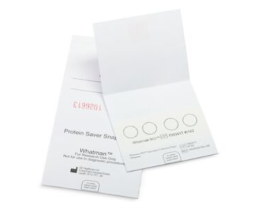 Proteinsaver Snap-Apart Card | Whatman- MG Scientific