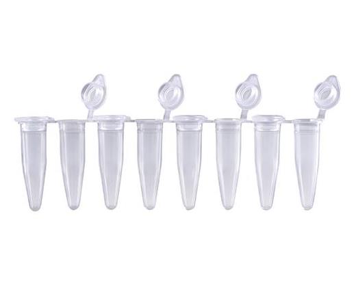 8-strip PCR Tubes | MTCBio- MG Scientific