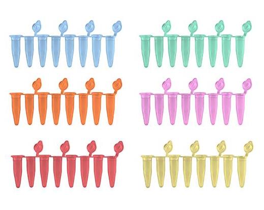 8-strip PCR Tubes | MTCBio- MG Scientific