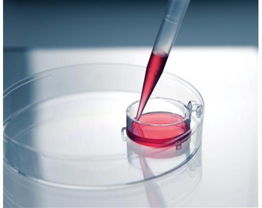 2 in 1 Cell Culture Dish Inserts | BrandTech- MG Scientific