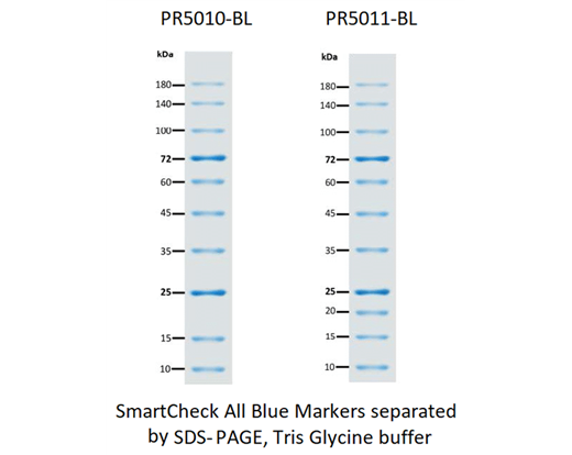 Protein Markers | Benchmark- MG Scientific