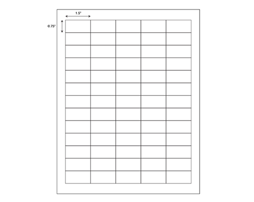 General Use Cryogenic Labels | Globe- MG Scientific