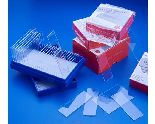 Microscope Slides | Eerie- MG Scientific