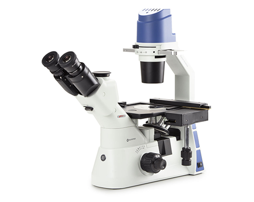 Oxion Inverted Microscopes | Globe- MG Scientific