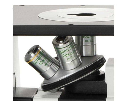 Oxion Inverted Microscopes | Globe- MG Scientific