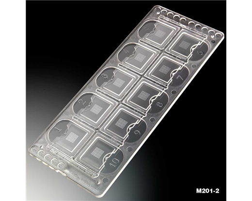 Quick-Read™ Precision Cell microscope slides | Globe- MG Scientific