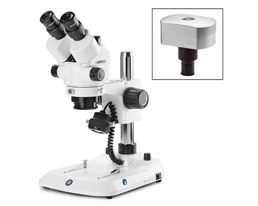 StereoBlue Stereo Microscopes | Globe- MG Scientific