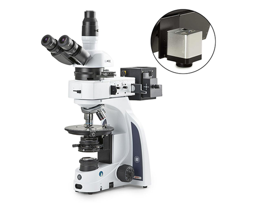 iScope Compound Microscopes | Globe- MG Scientific