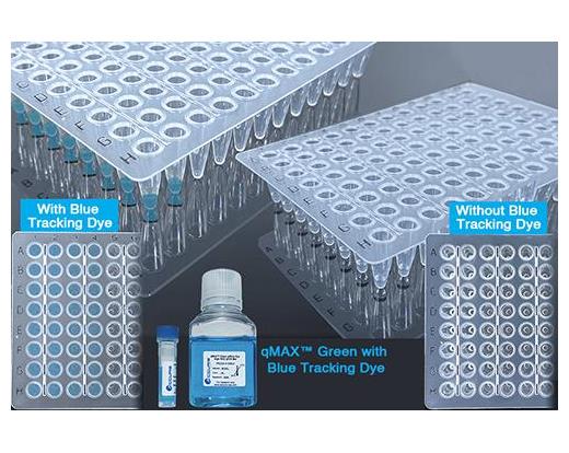 Green PCR Reagents qMax qPCR Mix | Benchmark- MG Scientific