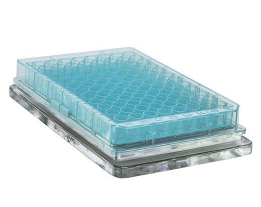 Magnetic Bead Separation Racks | Bel-Art- MG Scientific