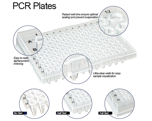 PCR Plates | Globe- MG Scientific