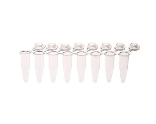 PCR Culture Tubes & Strips | Celltreat- MG Scientific