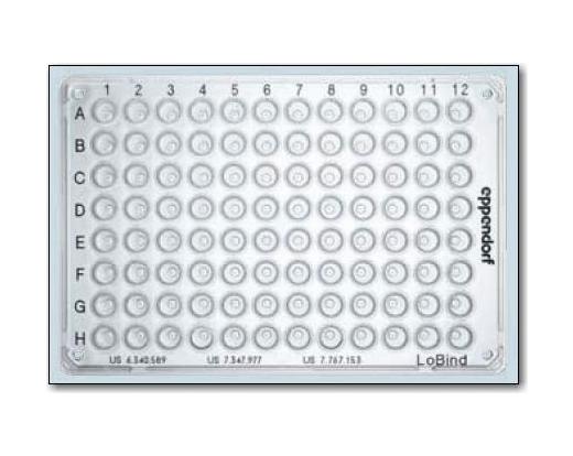 LoBind twin.tec 96-well PCR plates | Eppendorf- MG Scientific