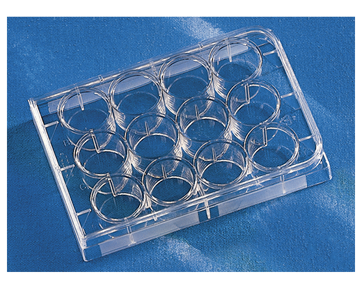Costar Multiple Well Cell Culture Plates | Corning- MG Scientific