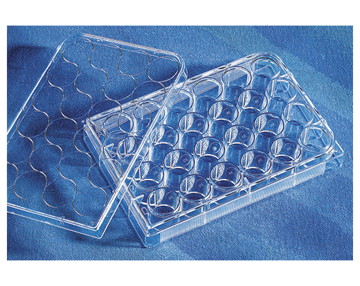 Costar Multiple Well Cell Culture Plates | Corning- MG Scientific