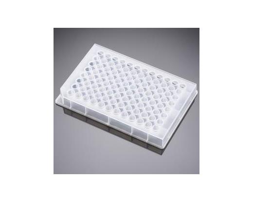 96-well Library Storage Plates | Corning- MG Scientific