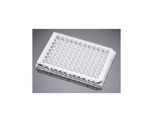 96-well Flat-bottom Plates Bulk | Corning- MG Scientific