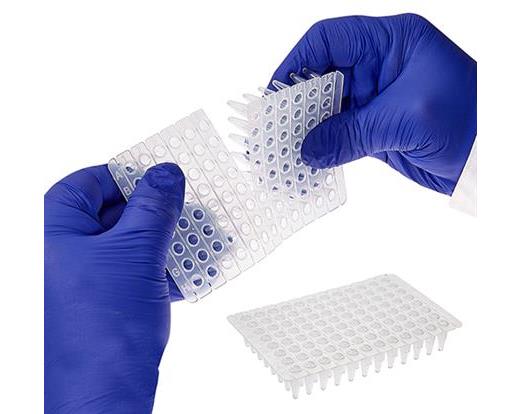 96 Well Pure-Amp PCR Plates | MTC Bio- MG Scientific