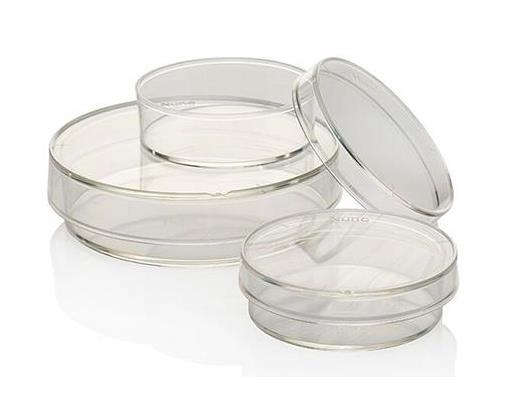 Sterile IVF Petri Dishes | Nunc- MG Scientific
