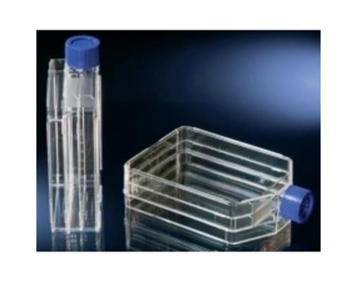 TripleFlask Treated Cell Culture Flasks | Nunc- MG Scientific