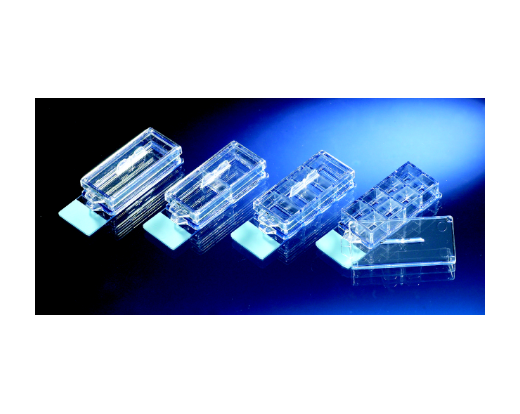 Lab-Tek II CC2 Chamber Slide System | Nunc- MG Scientific