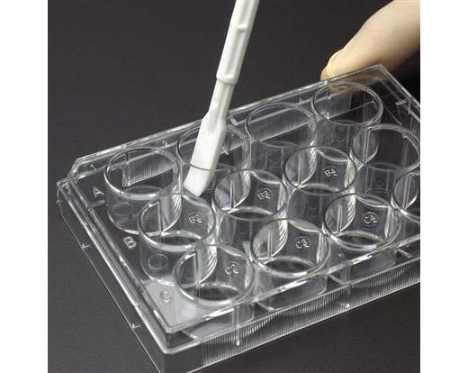 Sterile Cell Scrapers and Cell Lifters | Celltreat- MG Scientific