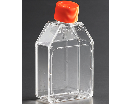 25cm Rectangular Canted Neck Cell Culture Flasks | Corning- MG Scientific
