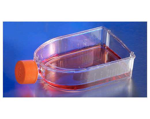 75cm U-shaped Canted Neck Cell Culture Flasks | Corning- MG Scientific