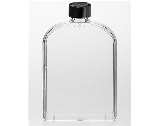 175cm U-shaped Canted Neck Cell Culture Flasks | Corning- MG Scientific