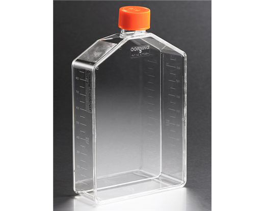 225cm U-shaped Canted Neck Cell Culture Flasks | Corning- MG Scientific