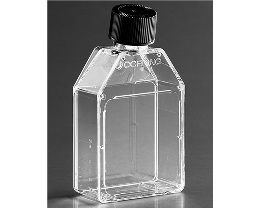 25cm Rectangular Canted Neck Cell Culture Flasks | Corning- MG Scientific