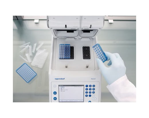 Nexus GX2 Thermo Cycler | Eppendorf- MG Scientific