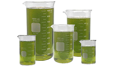Pyrex Berzelius Tall Form Beakers | Corning- MG Scientific