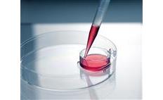 2 in 1 Cell Culture Dish Inserts | BrandTech- MG Scientific