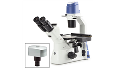 Oxion Inverted Microscopes | Globe- MG Scientific