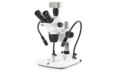 NexiusZoom Stereo Microscopes | Globe- MG Scientific