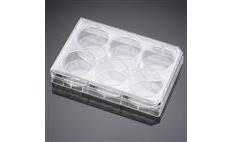 Cell Culture Insert Companion plate | Falcon- MG Scientific