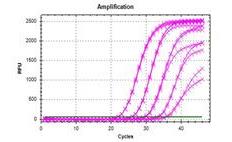 One-Step qPCR Reagent Kits | Benchmark- MG Scientific