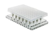 Magnetic Bead Separation Racks | Bel-Art- MG Scientific
