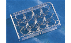 Costar Multiple Well Cell Culture Plates | Corning- MG Scientific