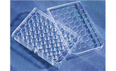 Costar Multiple Well Cell Culture Plates | Corning- MG Scientific