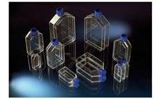 Flasks | Nunclon- MG Scientific