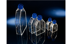 Cell Culture Treated EasYFlasks | Nunc- MG Scientific