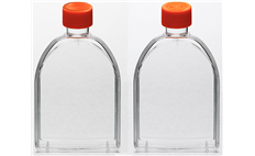 75cm U-shaped Canted Neck Cell Culture Flasks | Corning- MG Scientific
